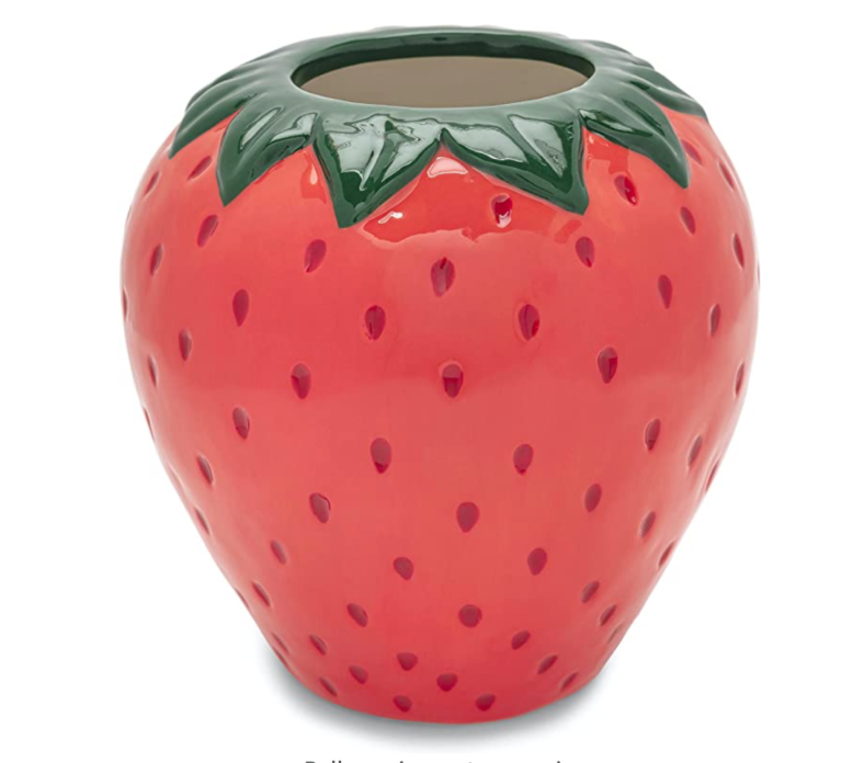 6 Amazon Favorites under $30 - Broke But Flawless